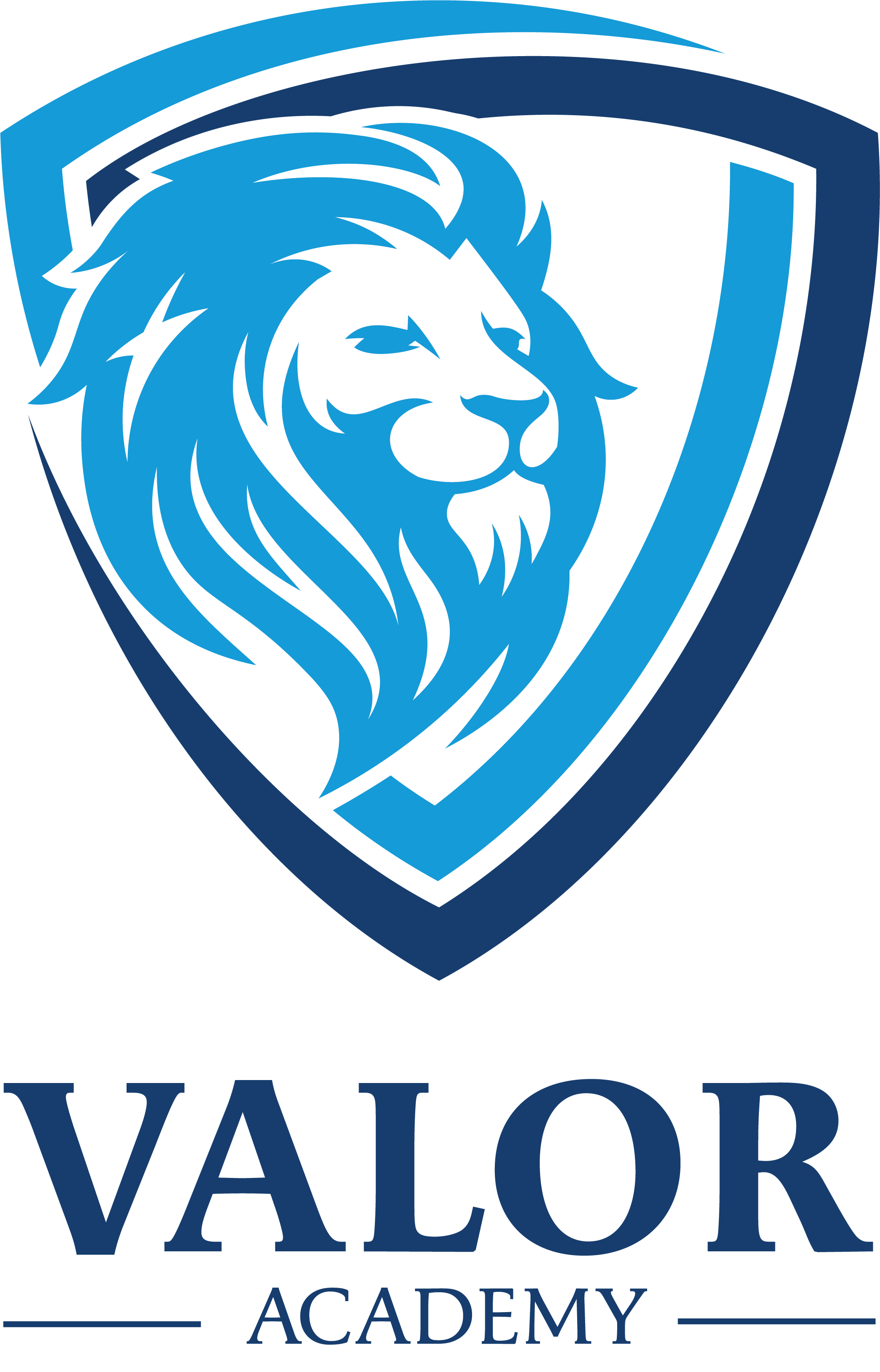 Home - Valor Academy